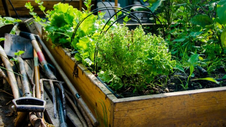 10 Tools and Equipment You Need to Plant a Tree - Everything Arboriculture