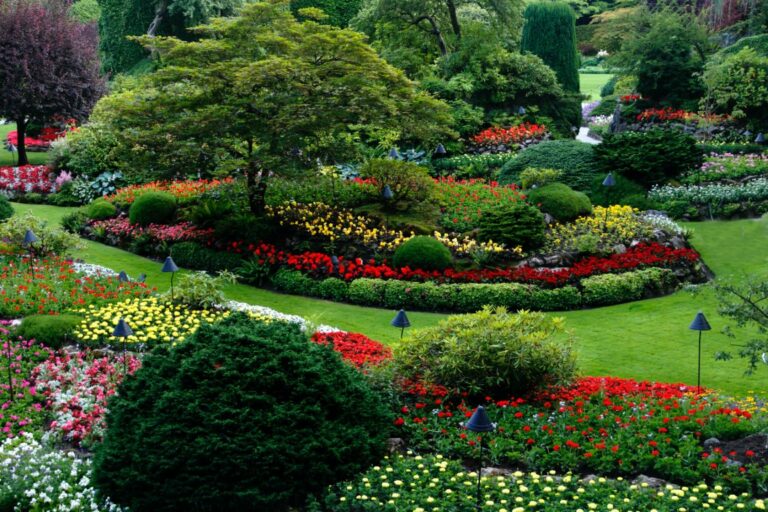 how-to-landscape-around-a-tree-with-exposed-roots-everything