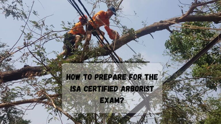 How Hard Is The Isa Certified Arborist Exam?