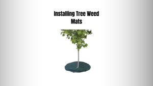 Installing Tree Weed Mats: 3 Pros & Cons Of Using One! - Everything ...