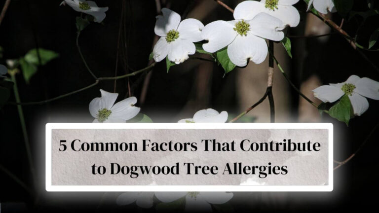 Dogwood Tree Allergy: Rash & Pollens 101 Guide - Everything Arboriculture