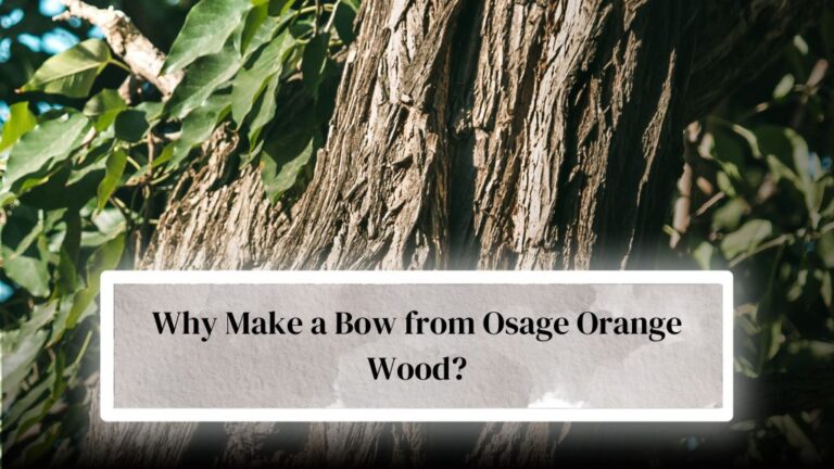 How To Make A Bow From Osage Orange Wood? 9 Steps - Everything ...